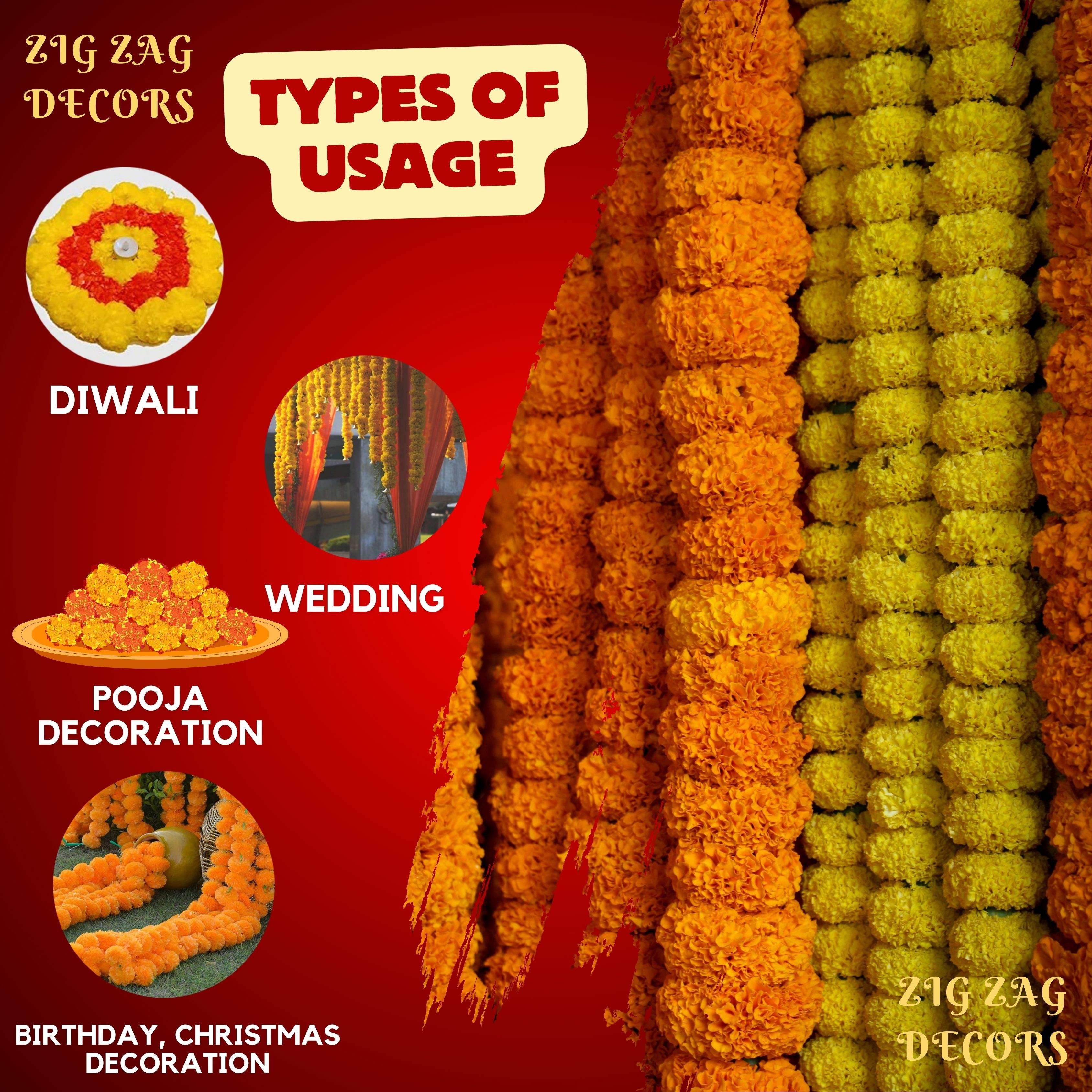 How to Choose the Best Marigolds for Your Garden: A Complete Buying Guide