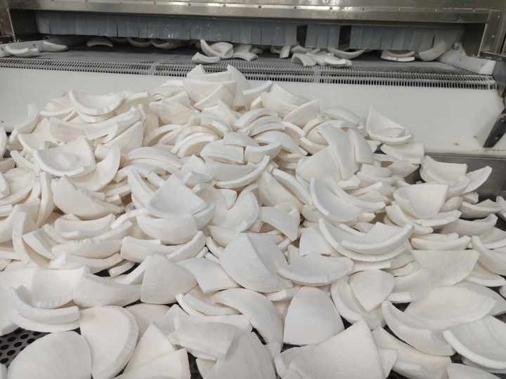 Frozen Coconut Meat - Natural, Organic, and Versatile