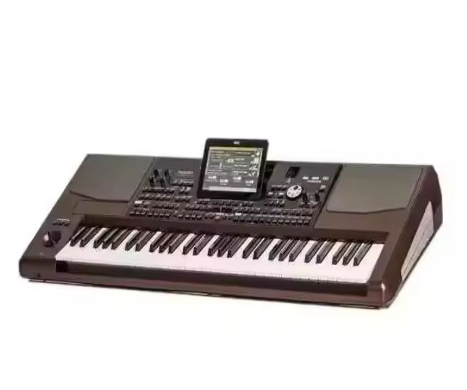 How to Choose the Best Korg PA1000 Professional Digital Arranger ...