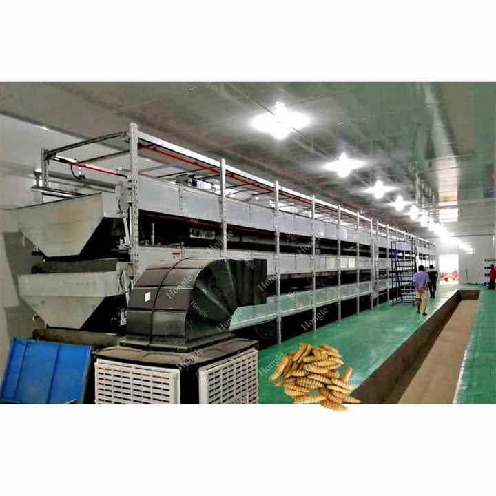 Automatic Black Soldier Fly Breeding Equipment for Food Waste Treatment ...