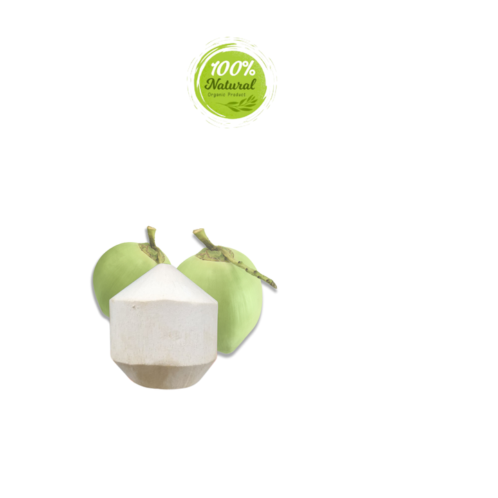 World Diamond Coconut Journey Premium Agriculture Direct From Ben Tre ...