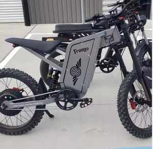 Freego X2 Pro Electric Ebike - 3000W All-Terrain Motor