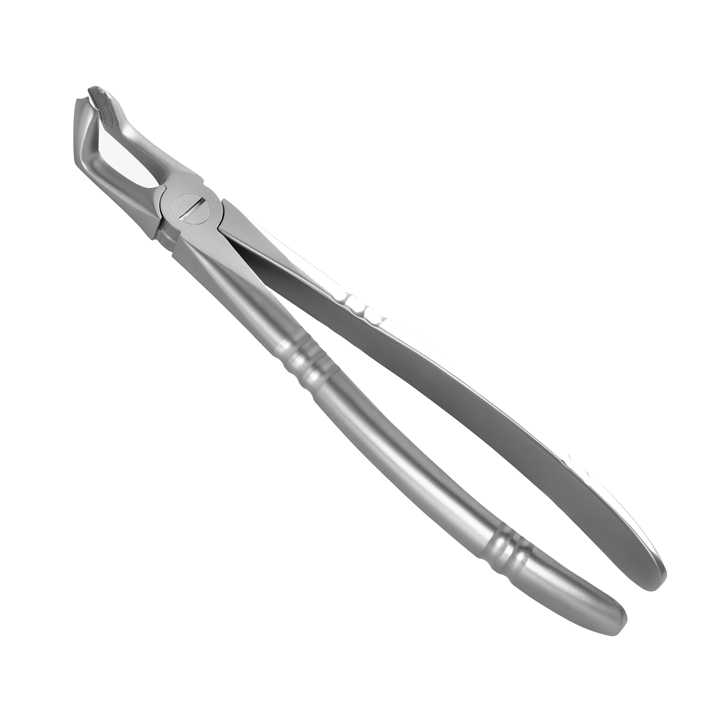 Stainless Steel Upper Molars Dental Tooth Forceps Supplier Extracting ...
