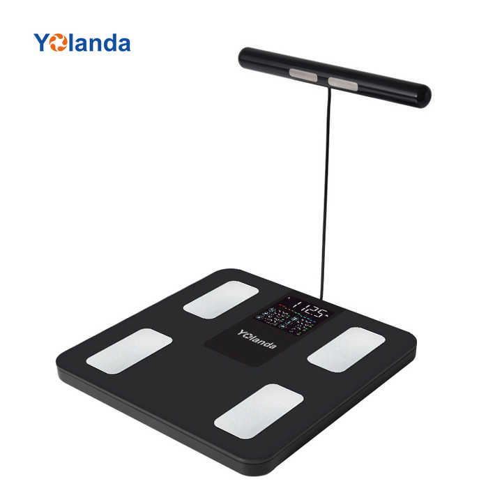 Large Screen Retractable 8 Electrode Digital BMI Monitor Professional ...