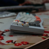 Custom Keyboard Case - Polycarbonate Kyuu Mechanical