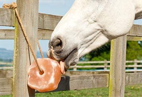 Himalayan Pink Salt Lick Block for Livestock Natural Mineral Boost with ...