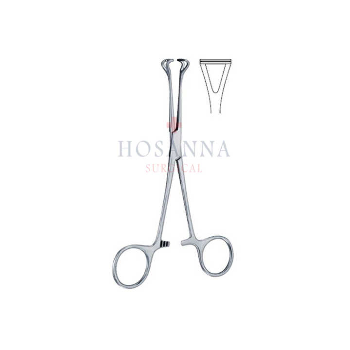 16 cm Stainless Steel Babcock Forceps Non-Traumatic Tissue Grasping ...