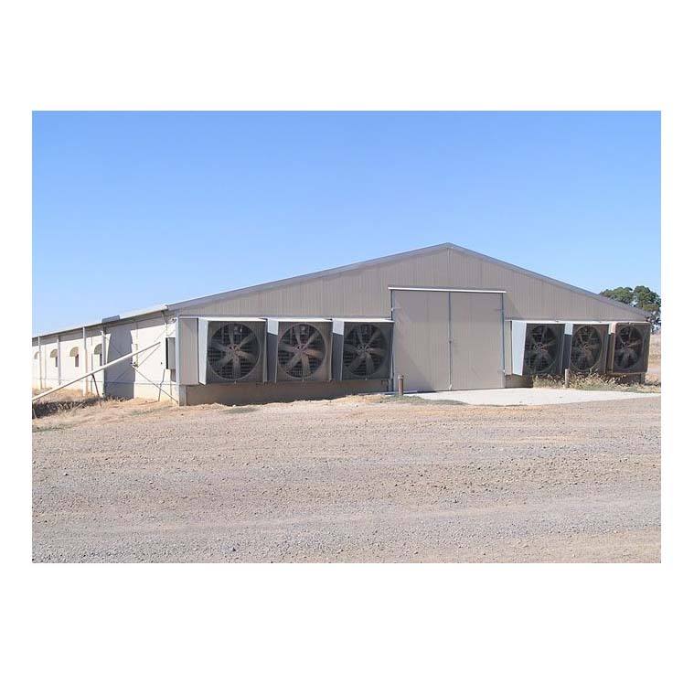 Prefabricated Steel Structure Layer Egg Chicken High Quality Free Range ...