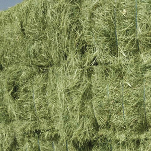Rhodes Grass Hay - High Quality Animal Feed for Cattle