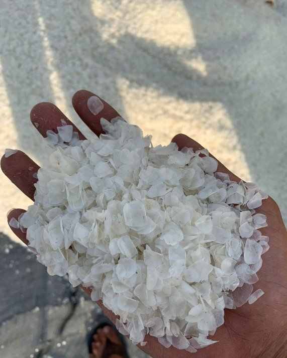BEST DEAL 2024 for New Customer Gelatin Fish Scale Dried Fish Scale ...