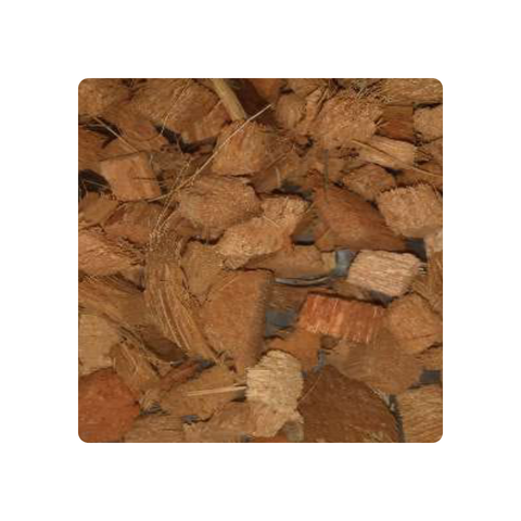 Company Overview - KOPEAT EXPORTS