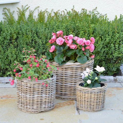 Garden pots & planters natural rattan cane plant pots hand-woven ...