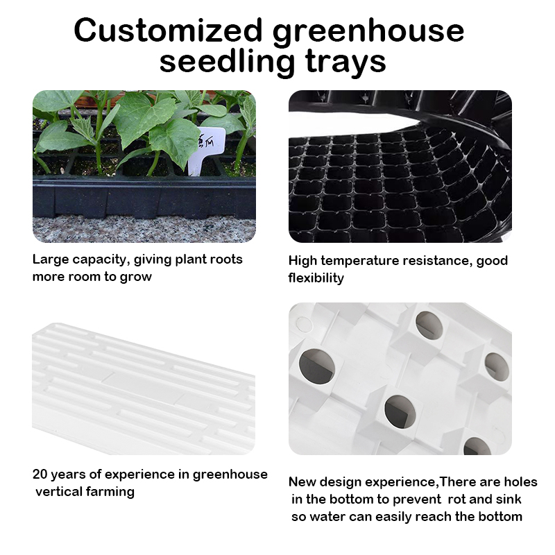 How to Choose the Best Hydroponics Rack for Your Indoor Garden