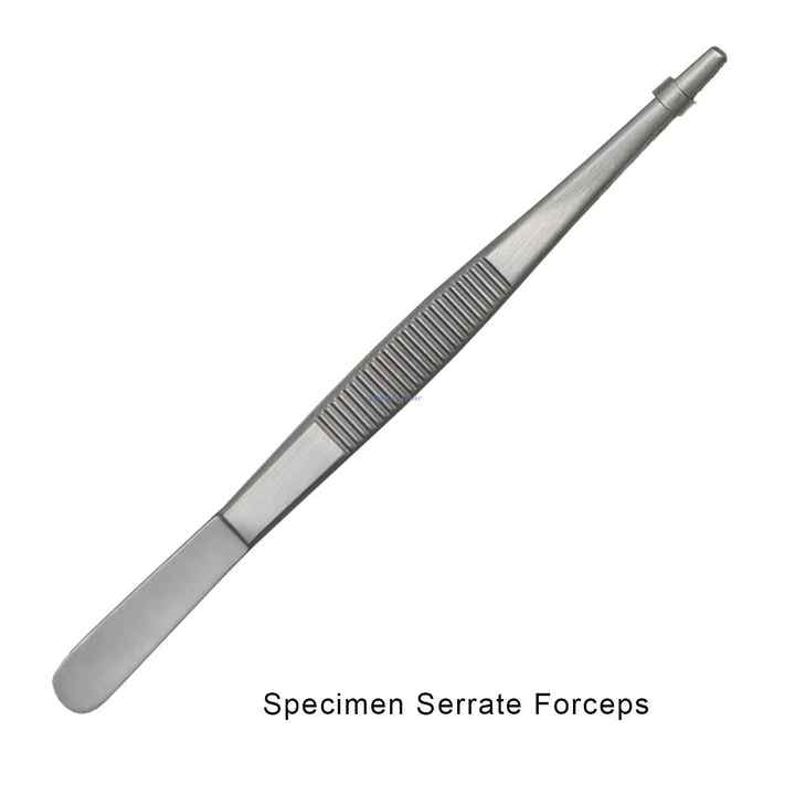 ANATOMY MEDICAL STUDENT DISSECTING DISSECTION KIT SET WITH SCALPEL ...