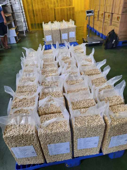 Kaju Cashew Nuts Raw Without Shell - W320 W240 W450 W180