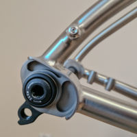 Waltly Aero Titanium Alloy Full Suspension Mountain Bike Frame 29er