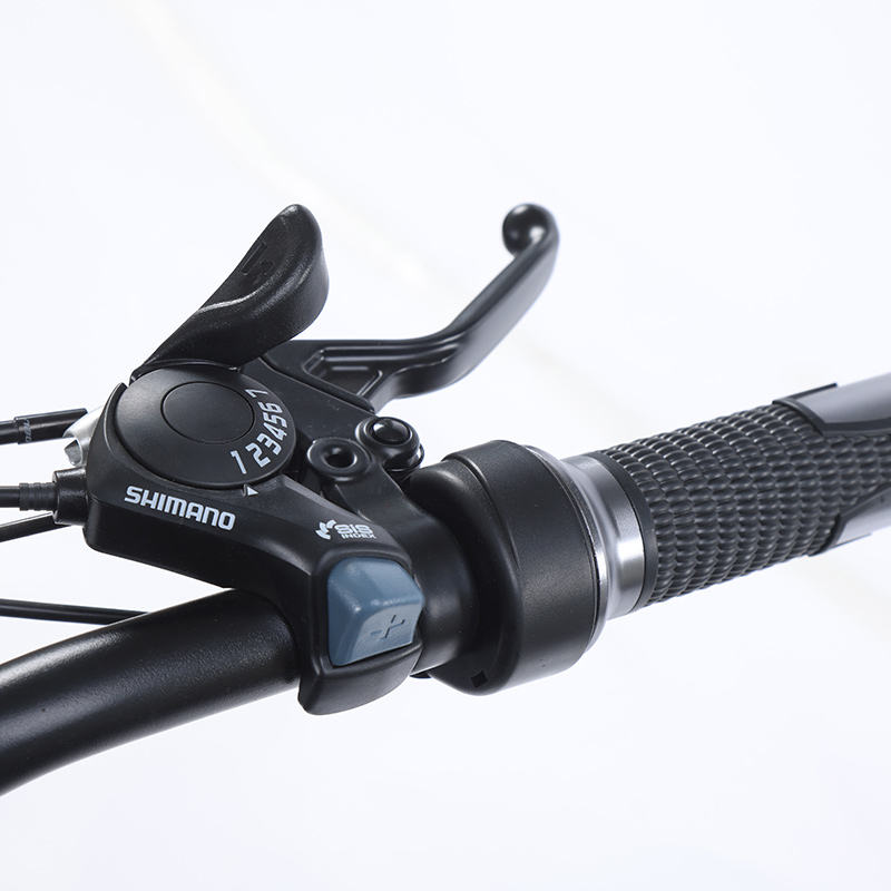 How to Choose the Best Ebike Dual Battery 2000 Watt Model