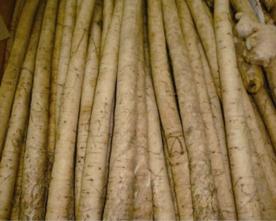 How to Choose the Best Organic Whole Burdock Root for Your Needs