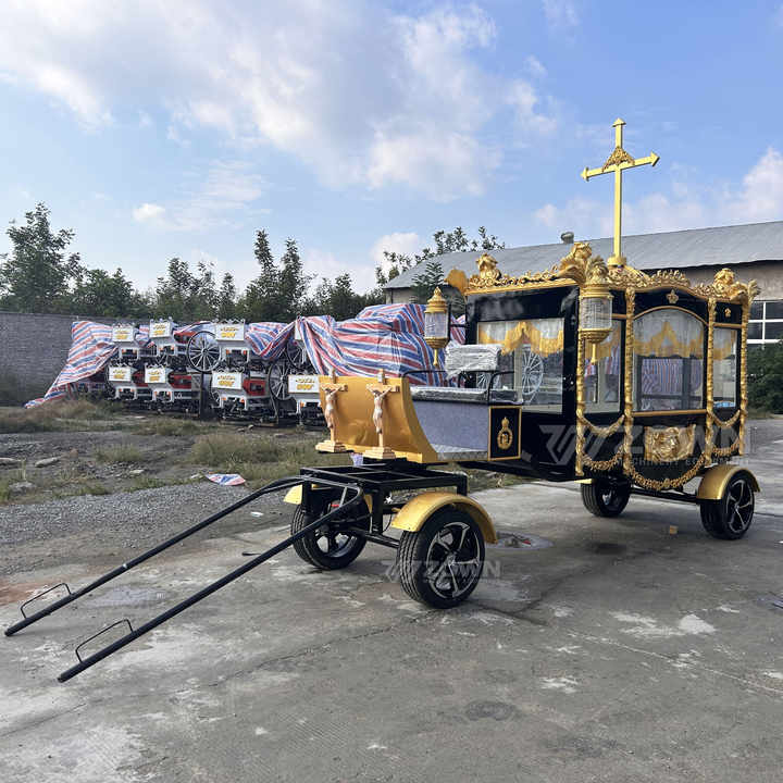 Golden Luxury Customize Casket Chariot Horse Hearse Funeral Coffin Car ...