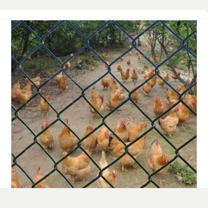 Black PVC coated metal chain fence mesh board| Alibaba.com