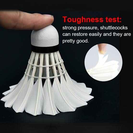 Super Class Goose Feather Badminton Shuttlecock Professional Player ...