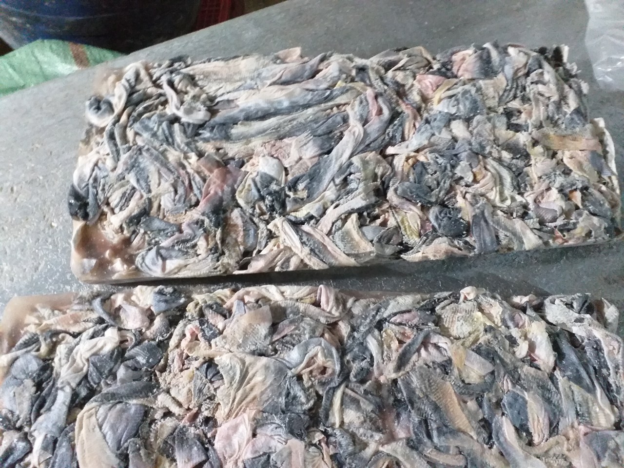 Verified Supplier Frozen Marlin Fish Premium Quality, Sashimi Grade ...