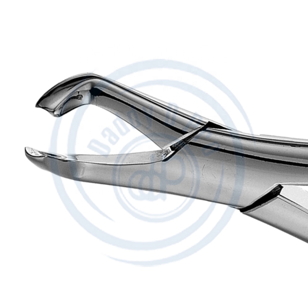 High-Quality Dental Forceps for Adult Tooth Extraction