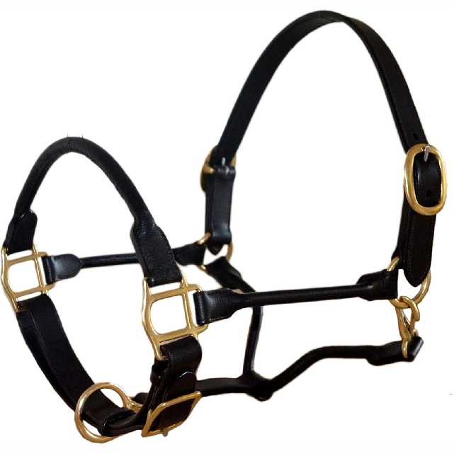 Best quality Horse Halter Wholesale Horse Riding Halter With Custom ...