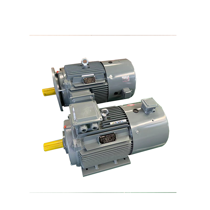 IEC Standard 45kW Three-phase Variable Frequency Motor with IP54 ...