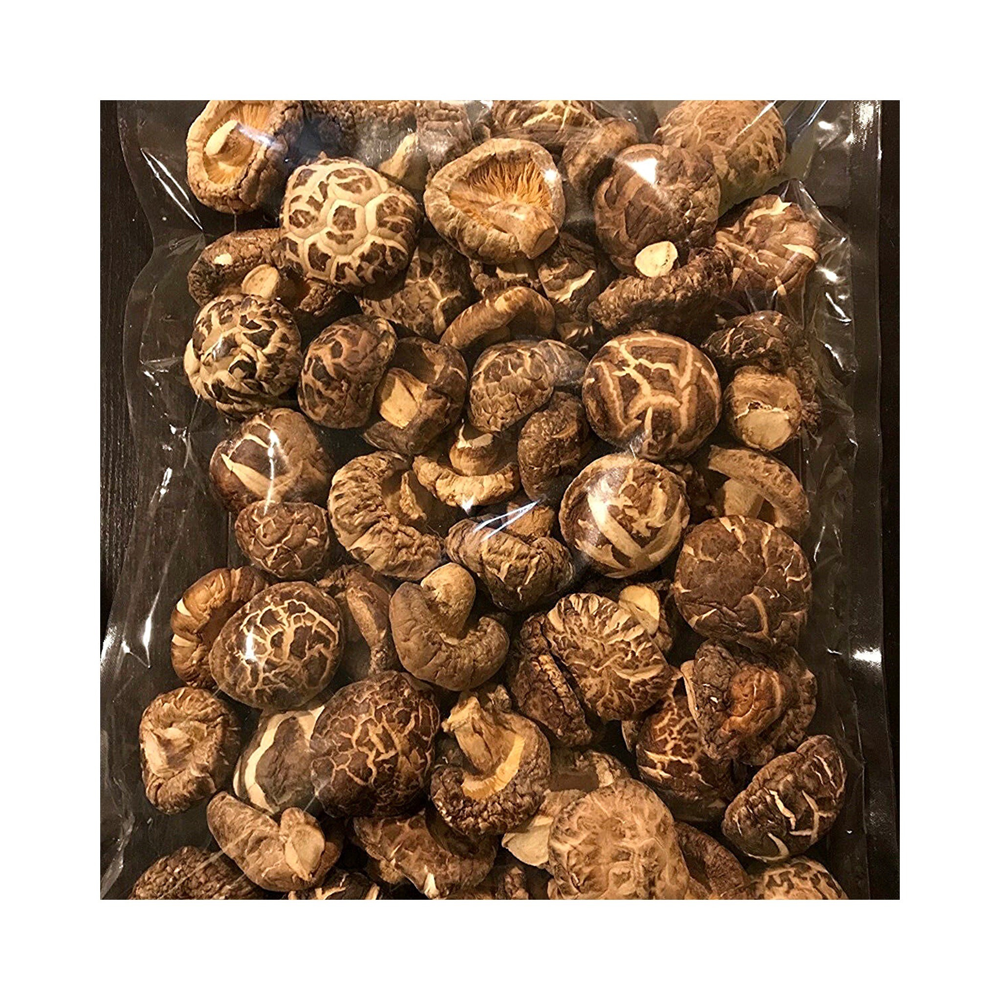 Qualité Premium spawn de champignons séchés pour les Acheteurs en Gros ...