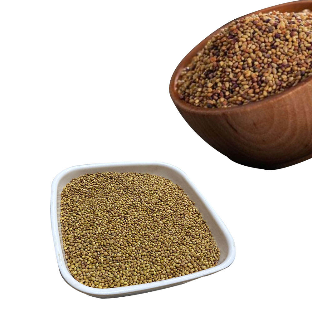 How to Choose White Clover Seeds: A Complete Buying Guide