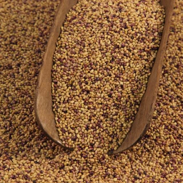 How to Choose White Clover Seeds: A Complete Buying Guide