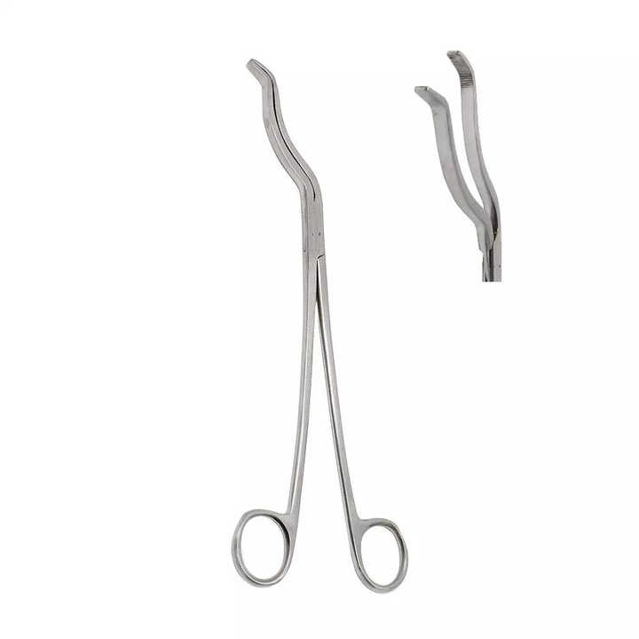 High Quality Cheatle Forceps Deluxe Quality (10 Inch) Wholesale Price ...