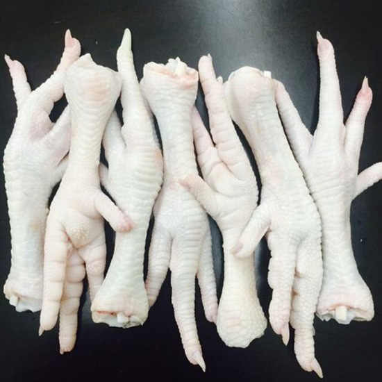 Frozen Chicken Feet/paws Export to China, Vietnam, Japan, Thailand