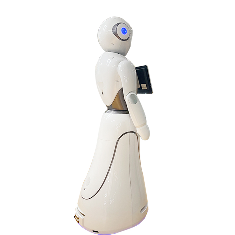 Elevate Efficiency with Cutting-Edge humanoid welcom servic robot Solutions