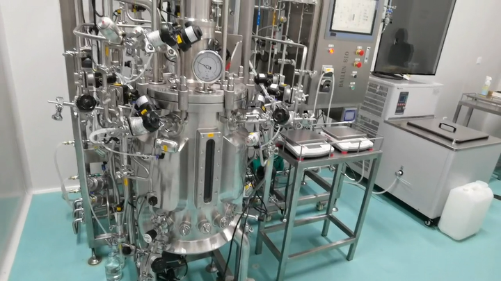 Lab Pilot Microbial Fermenter Bioreactor for Vaccine Prod.