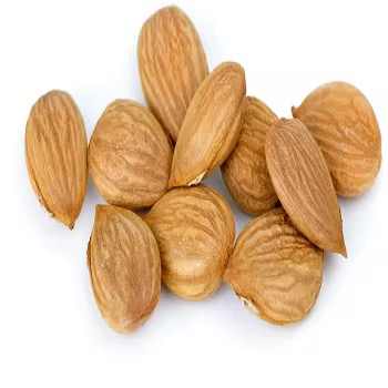 A grade Apricot Kernel Original Salt-Baked Batan Kernels Large Almond ...