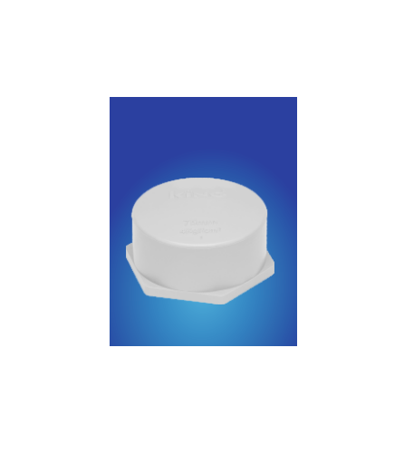 End Cap Threaded PN 6 for Sturdy and Leak Resistant Pipe Fitting Easy ...