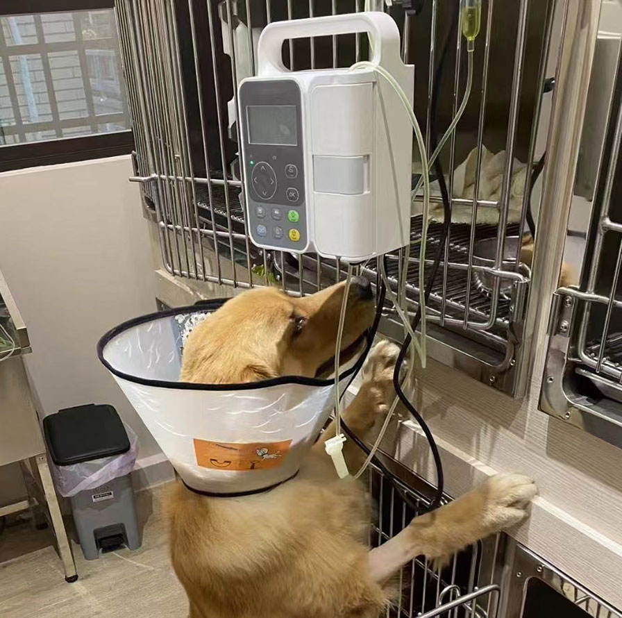 Pet Infusion Pump - Precision Control for Animal Healthcare
