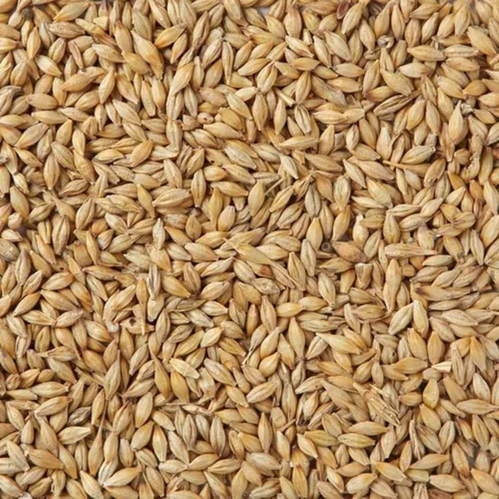 How to Choose the Best Malted Barley for Brewing and Baking