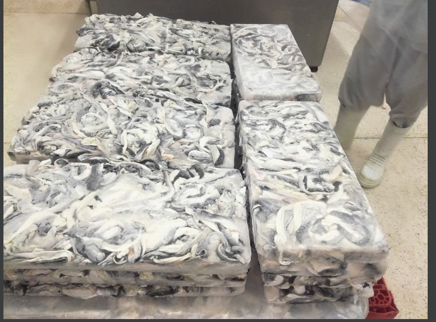 Verified Supplier Frozen Marlin Fish Premium Quality, Sashimi Grade ...
