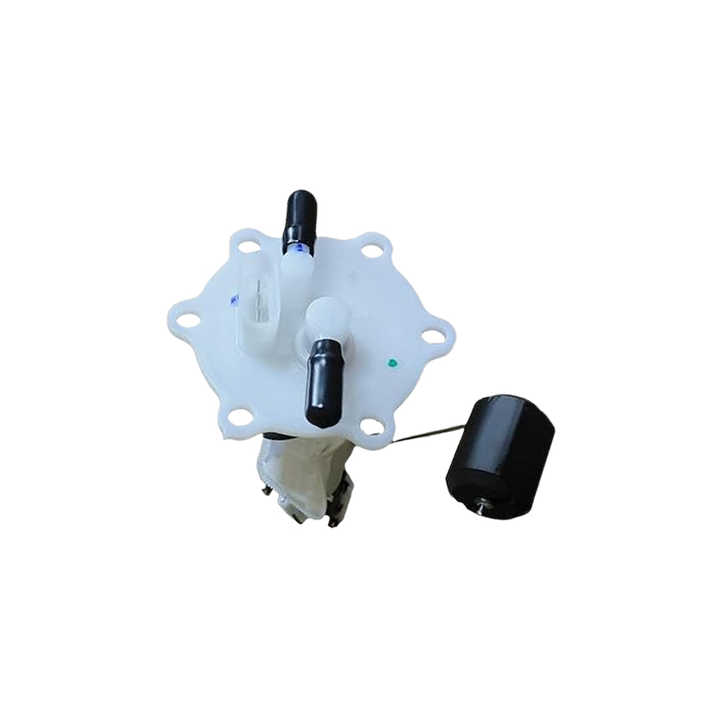 Fuel Pump Assembly for Bajaj Pulsar NS200 Motorcycle Supplier From India