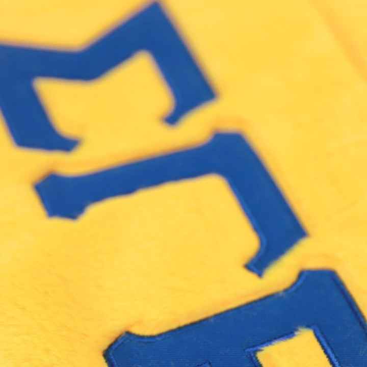 Sigma Gamma Rho SGRho Sorority Fur Tote Bag Gold with Royal Blue ...