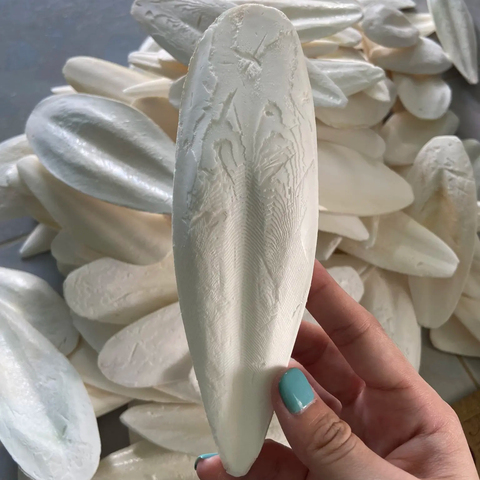 BLEACHED and UNBLEACHED RAW CUTTLEFISH BONE FROM VIETNAM/BLISTER DRIED ...