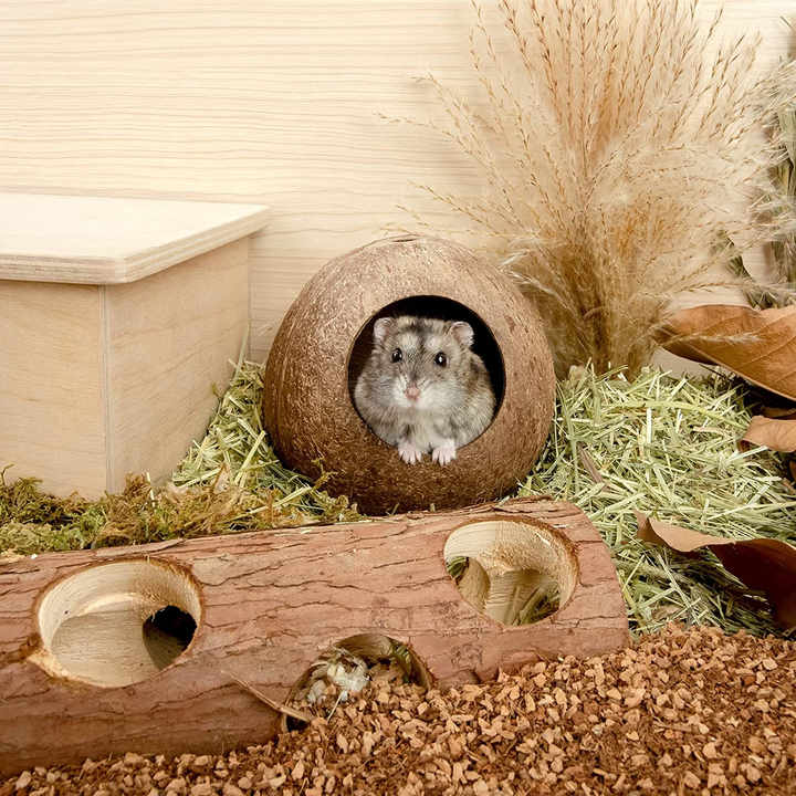 Natural Coconut Shell Hamster Nest - Sustainable & Durable