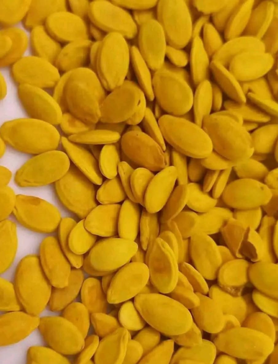 How to Choose Orange Fruit Seeds: A Complete Buying Guide