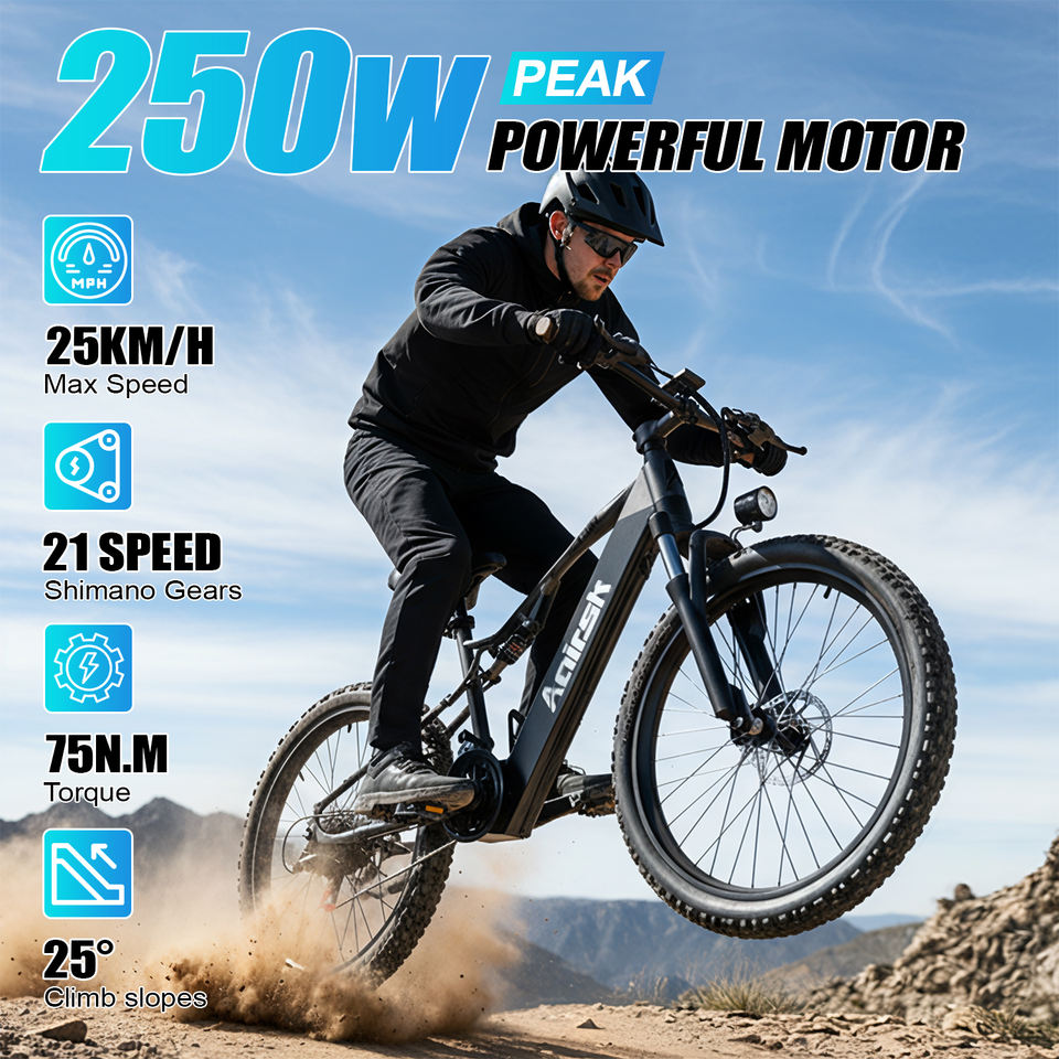 Aairsk EU Warehouse XT90 48V Carbon Steel Frame Ebike 20Ah 21-Speed ...