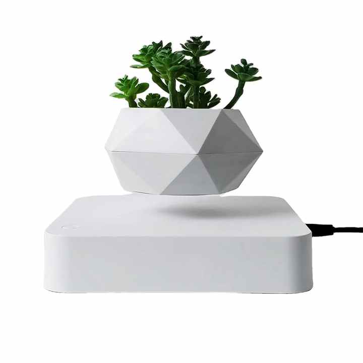Small Levitation Bonsai Planter Magnetic Levitating Rotating Flower Pot ...