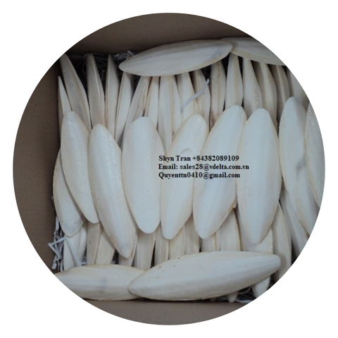 BLEACHED and UNBLEACHED RAW CUTTLEFISH BONE FROM VIETNAM/BLISTER DRIED ...