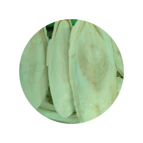 BLEACHED and UNBLEACHED RAW CUTTLEFISH BONE FROM VIETNAM/BLISTER DRIED ...